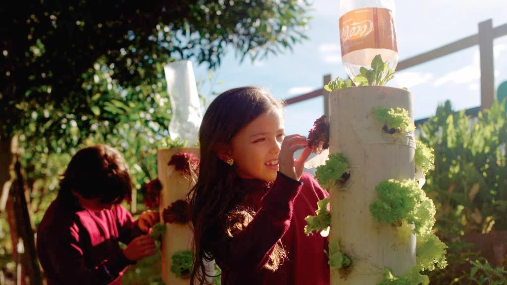 Colegio Rochester (Chía) - Los Mejores Colegios Colombia